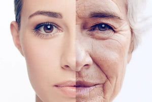 Understanding the Aging Process: Why We Age and How to Age Well